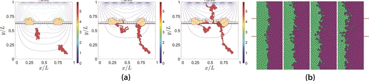 Collective Cellular Motion in Tissues