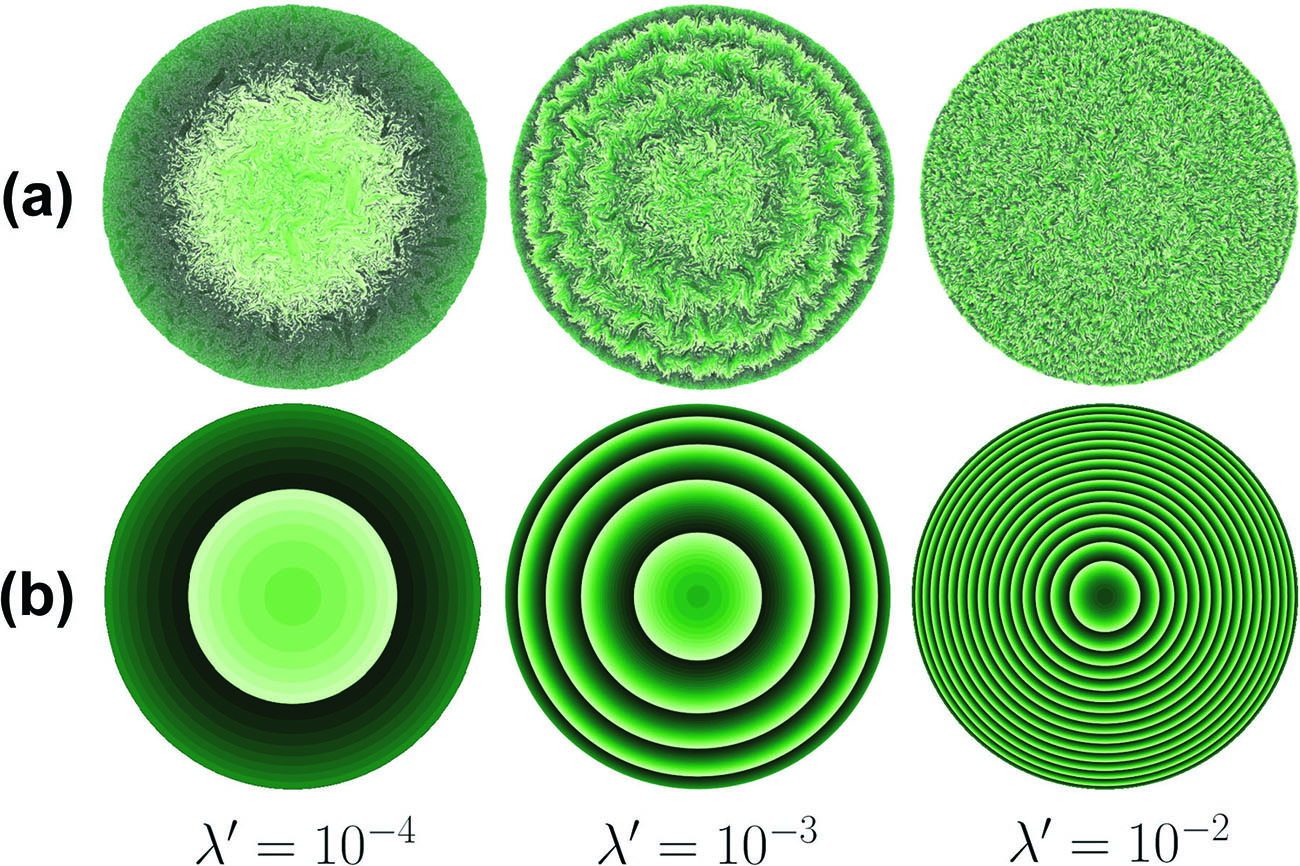 Stressing Microbes to Create Macroscopic Patterns